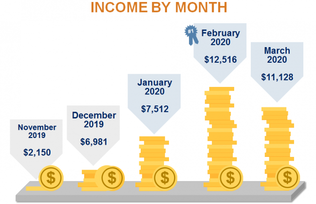 Blog Income Report - March 2020 - The Money Ninja