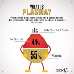 How To Make $400+ Each Month By Donating Blood Plasma - The Money Ninja