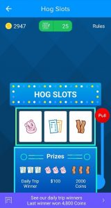 Get 15 Bonus Spins with Receipt Hog Referral Code "lub82057" - The ...
