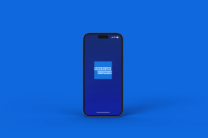 American Express® $250 Checking Account Bonus - The Money Ninja